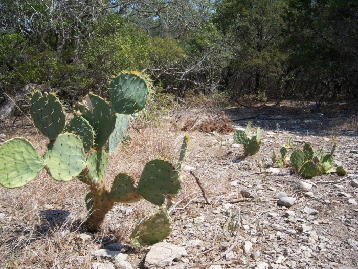 Visit - Friends of San Antonio Natural Areas